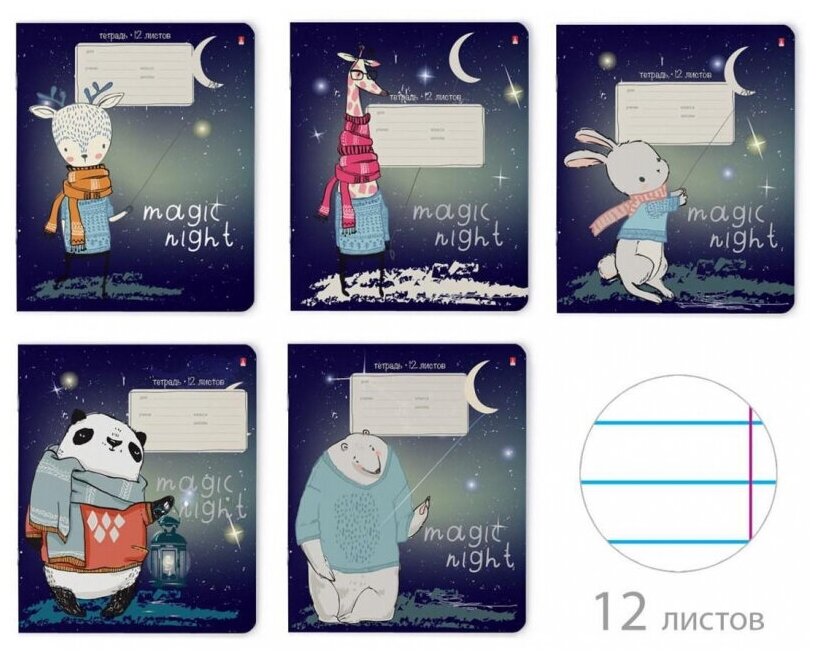 Набор тетрадей "MAGIC NIGHT" Альт, твердая обложка, A5, 12 л, 5 цветов, 10шт.