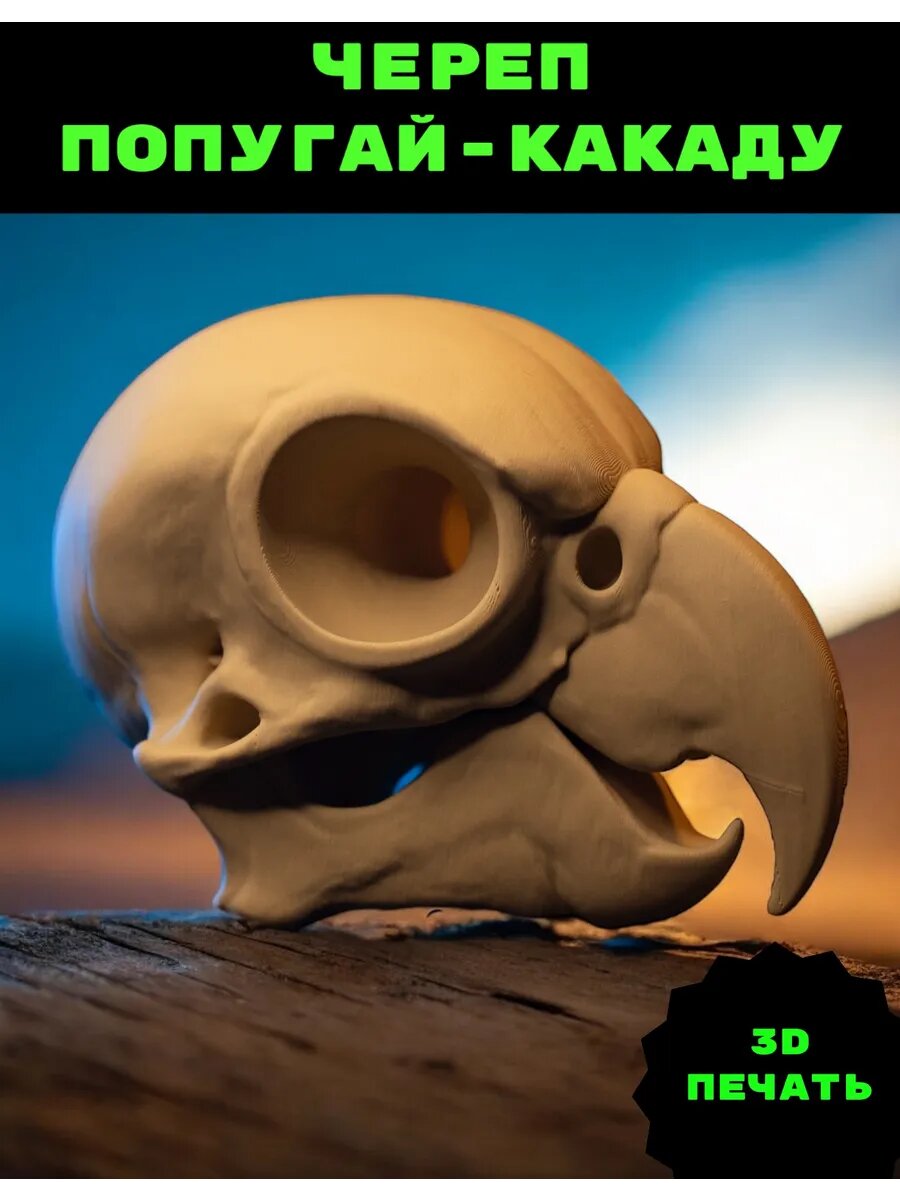 Фигурка Череп Попугай-Какаду цвет кость 3D печать готическая