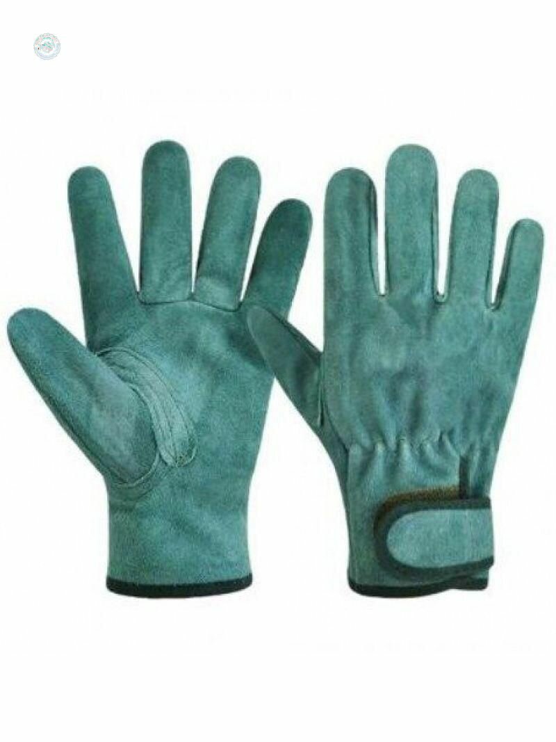 Краги сварщика из воловьей кожи, теплостойкие рабочие перчатки для сварки, гриля, сада и строительства, регулируемое запястье, зеленые M L XL