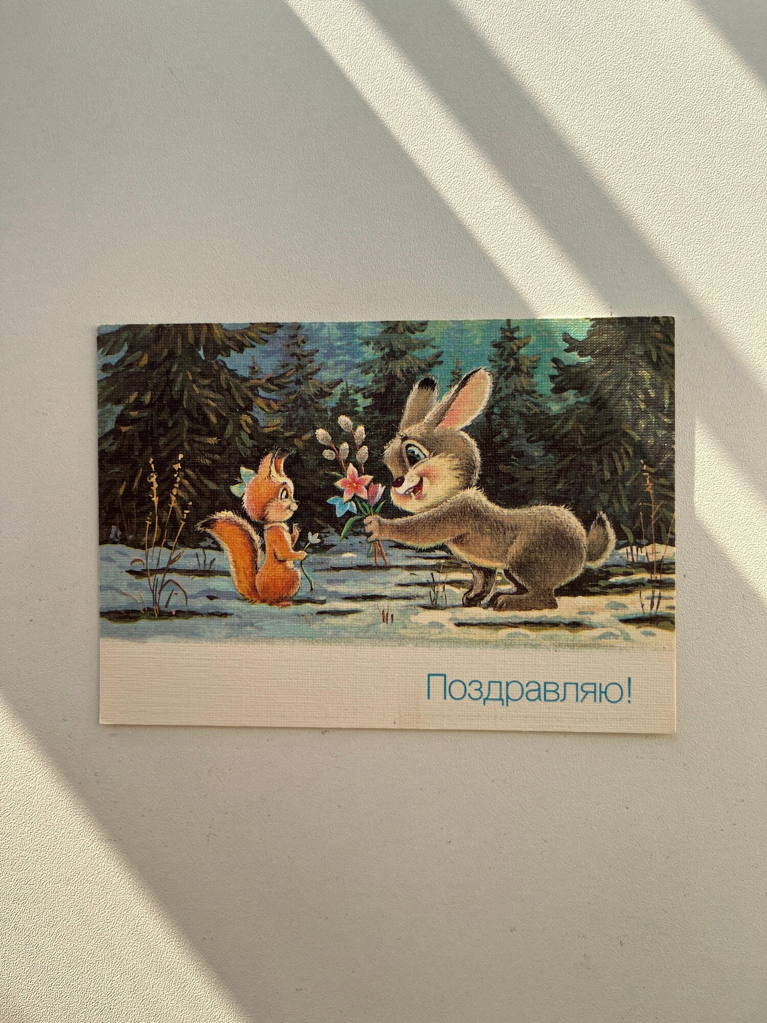 Винтажная открытка СССР Поздравляю! . Зайчик поздравляет белочку. Художник В. Зарубин. Издана в 1990 году
