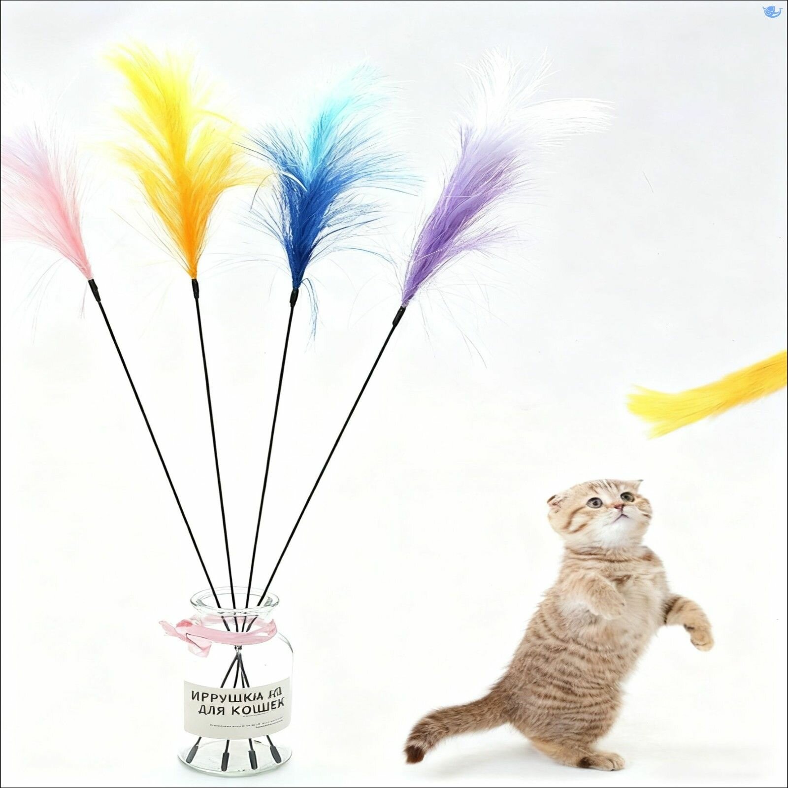 Ловушка для кошек с разноцветными перьями