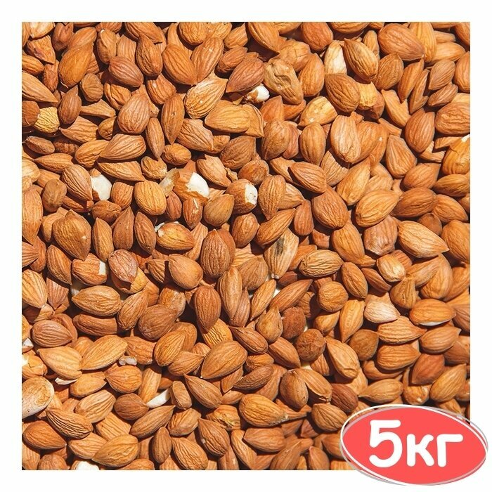 Абрикосовые косточки 5 000 гр, 5 кг, ядро абрикосовых косточек очищенные, Вегетарианский продукт, Vegan