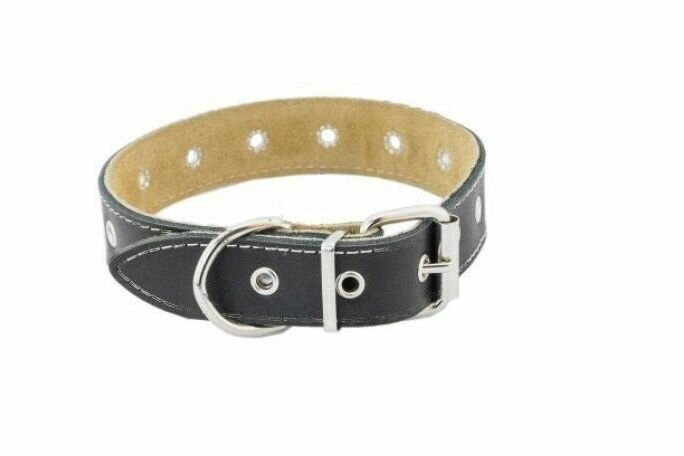 HOMEPET Ошейник для собак кожаный, двухслойный, простроченный, черный, до 52 см, 30 мм