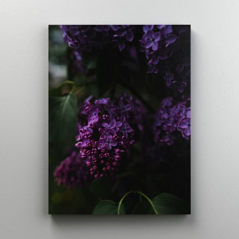 Интерьерная картина на холсте "Цветы сирени" размер 30x40 см