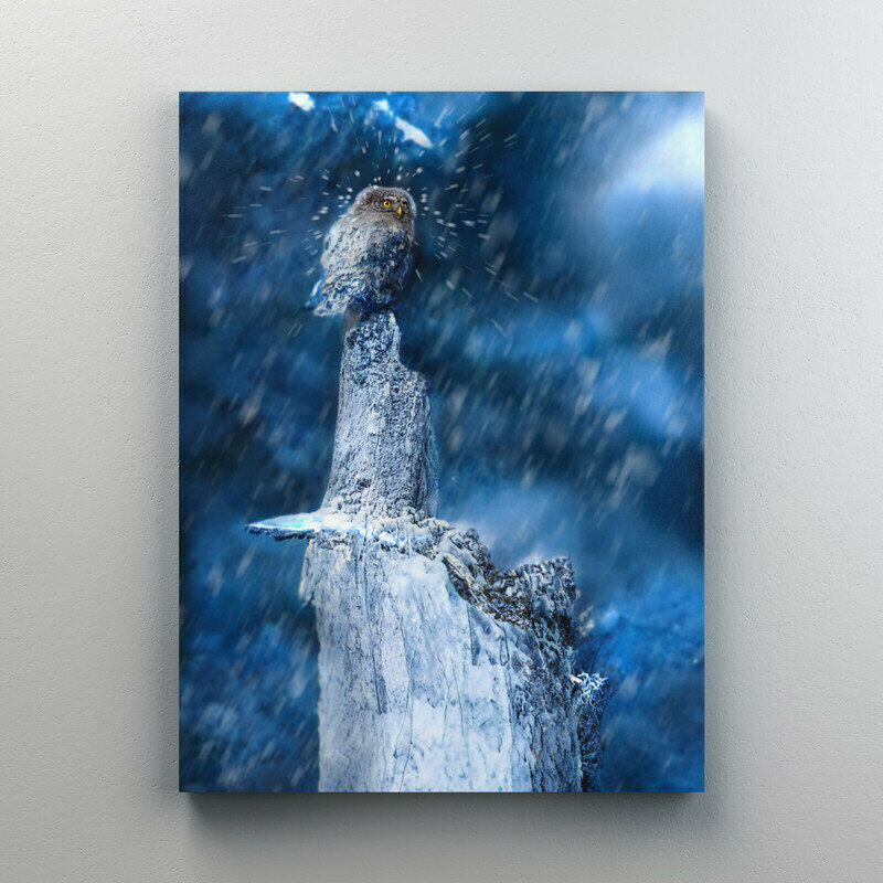 Интерьерная картина на холсте "Сова под дождем", размер 22x30 см