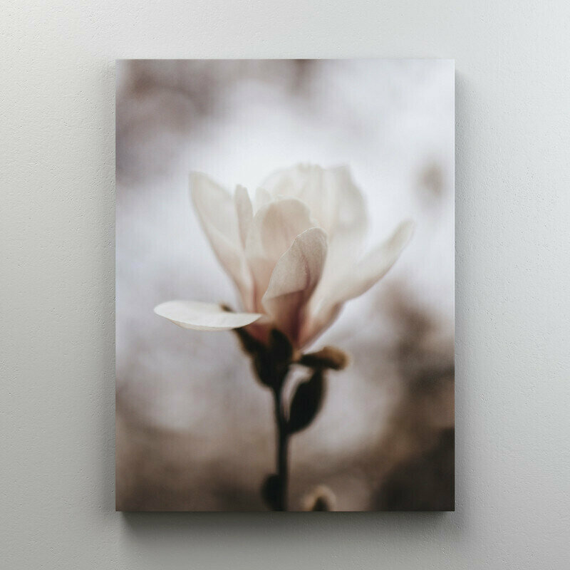 Интерьерная картина на холсте "Цветок магнолия", размер 22x30 см