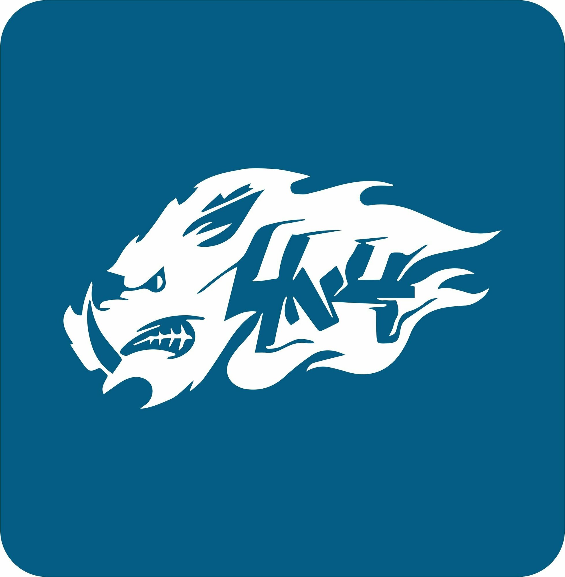 Наклейки на авто светоотражающие jdm style japan япония v22, водоустойчивая, виниловая, самоклеящаяся, KRASNIKOVA, наклейка тюнинг, на автомобиль, машину, прикольные