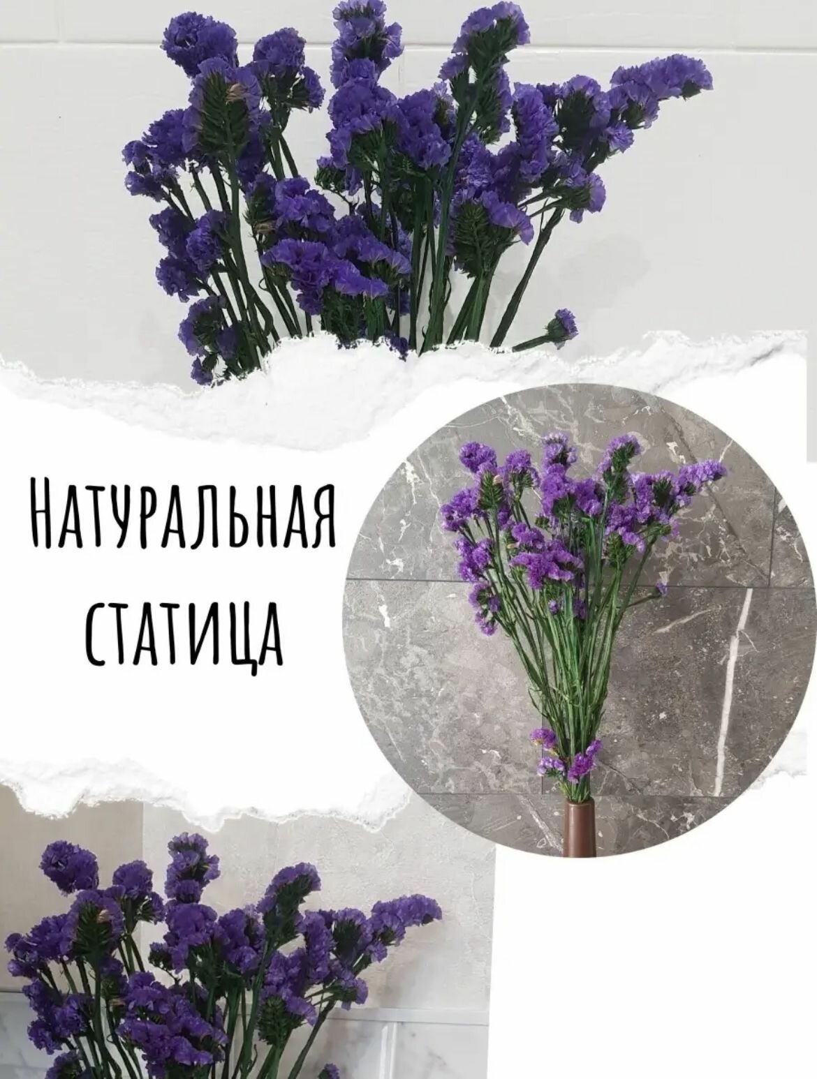 Статица стабилизированная, 60 см