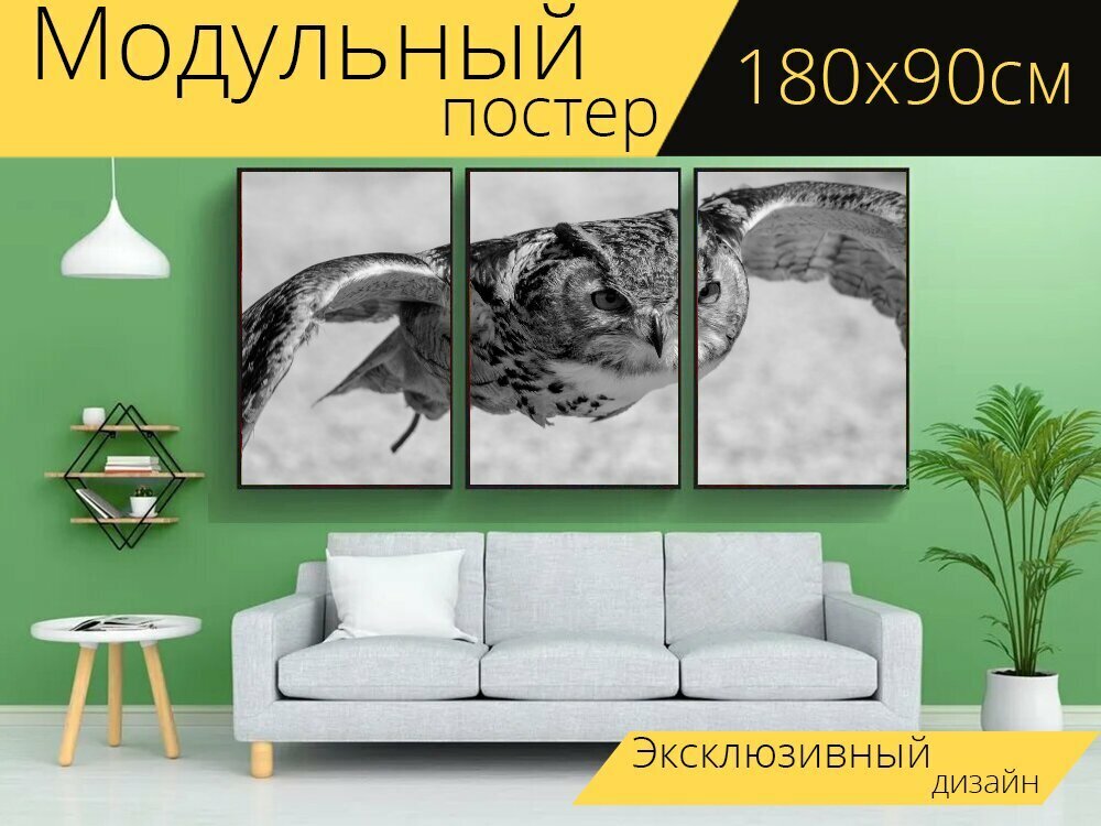 Модульный постер "Евразийский филин, летающий, сова" 180 x 90 см. для интерьера