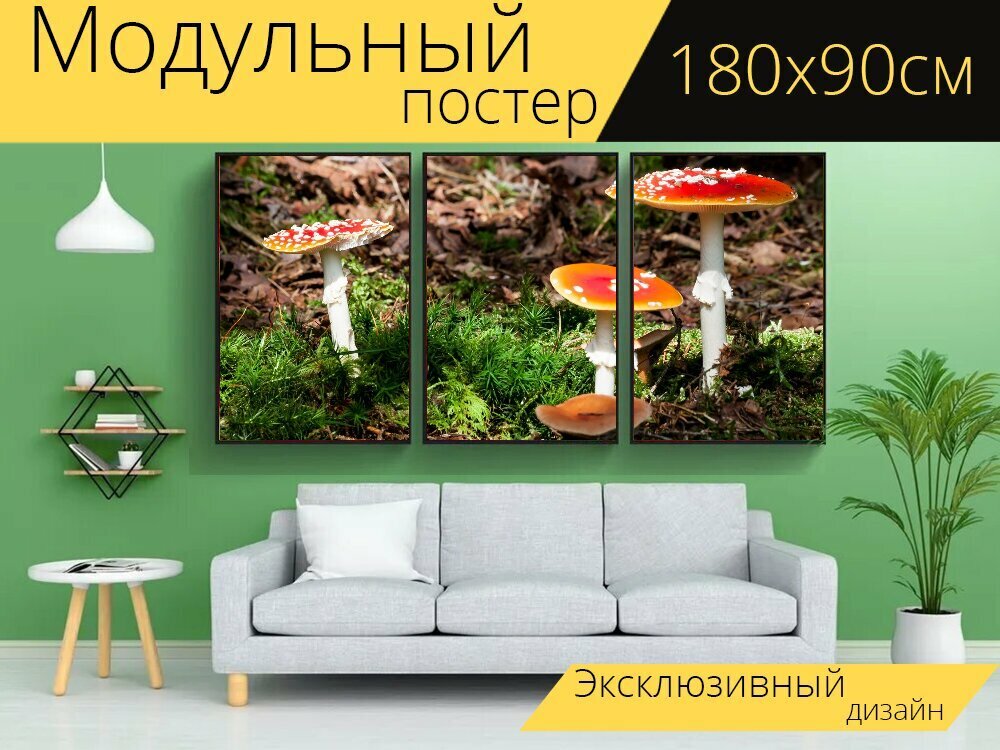 Модульный постер "Поганки, мухомор мухомор, гриб" 180 x 90 см. для интерьера