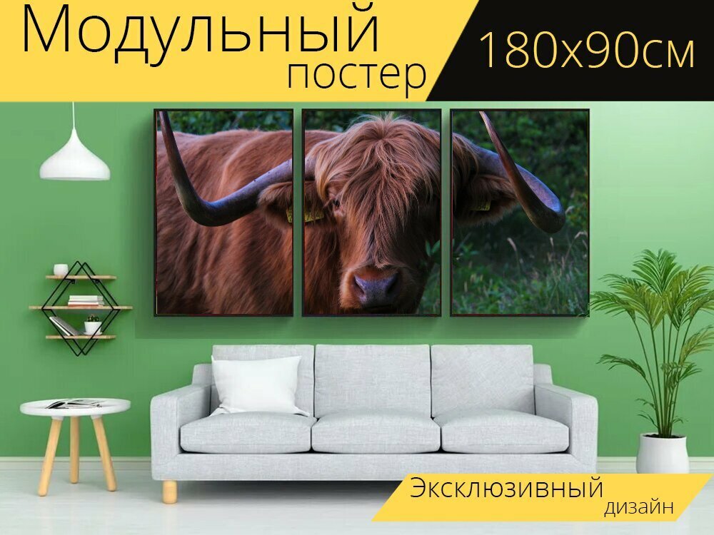 Модульный постер "Бык, корова, животное" 180 x 90 см. для интерьера