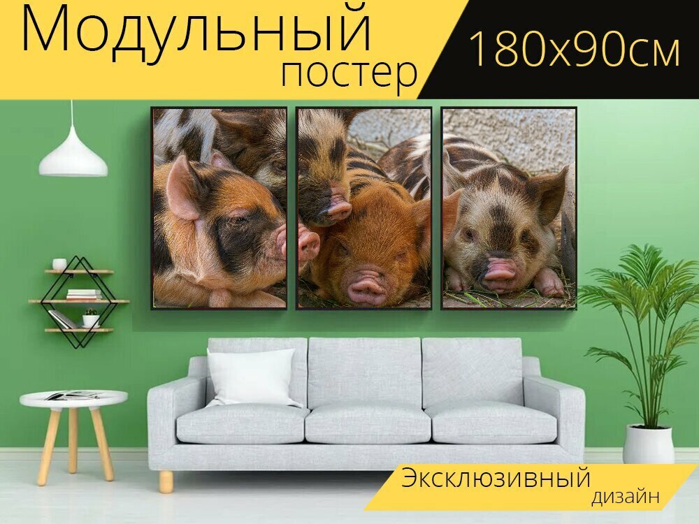 Модульный постер "Свинья, свиньи, поросенок" 180 x 90 см. для интерьера