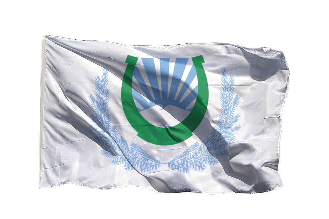 Флаг Нальчика 90х135 см