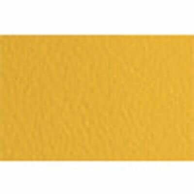 Бумага для пастели (10 лист.) Fabriano "Tiziano" 160 г/м2, 50х65 см, 52551021 Arancio/Оранжевый