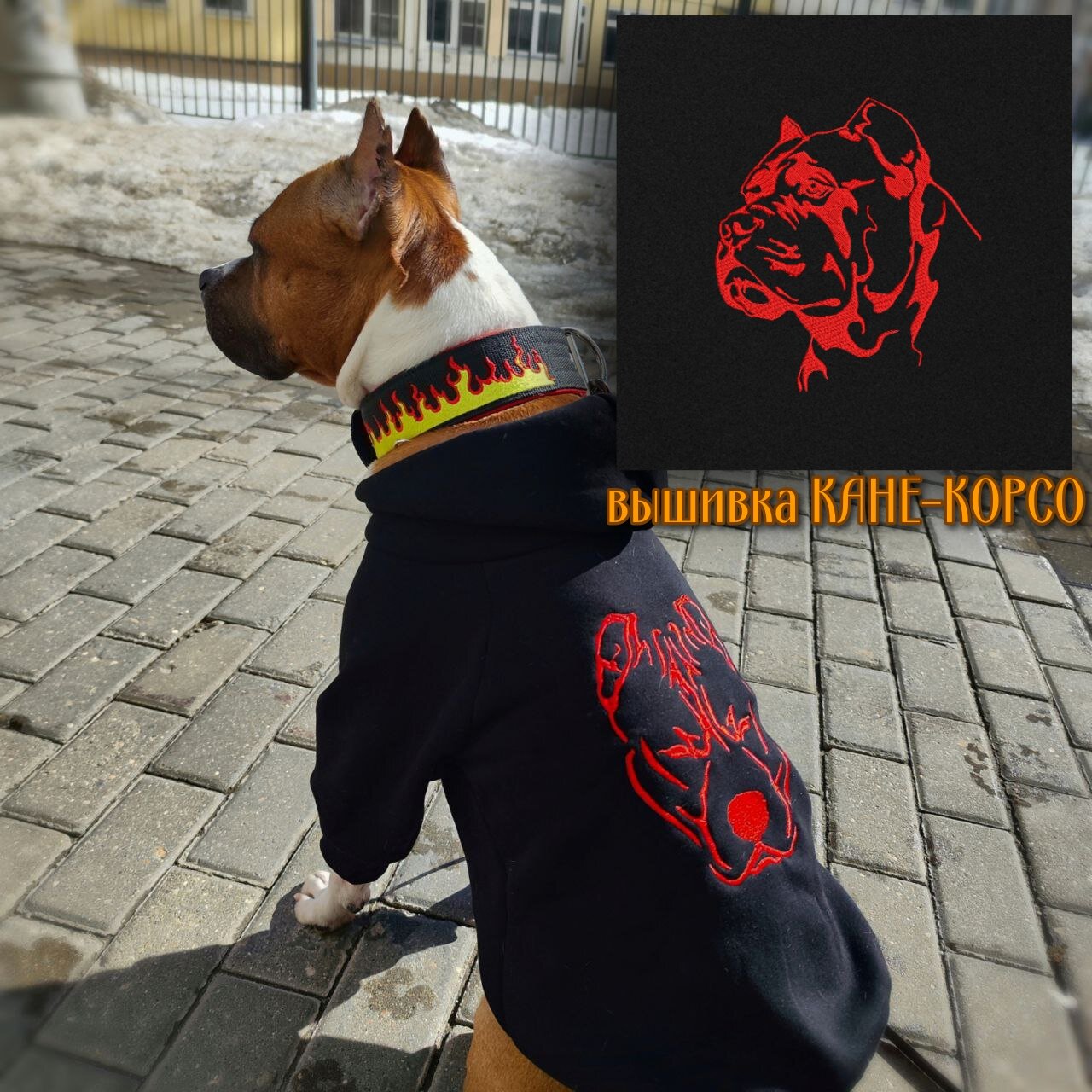 Худи для собак с вышивкой Кане Корсо от DOGTON . Худи с начесом и капюшоном для ежедневных прогулок. Размер "XXXL"