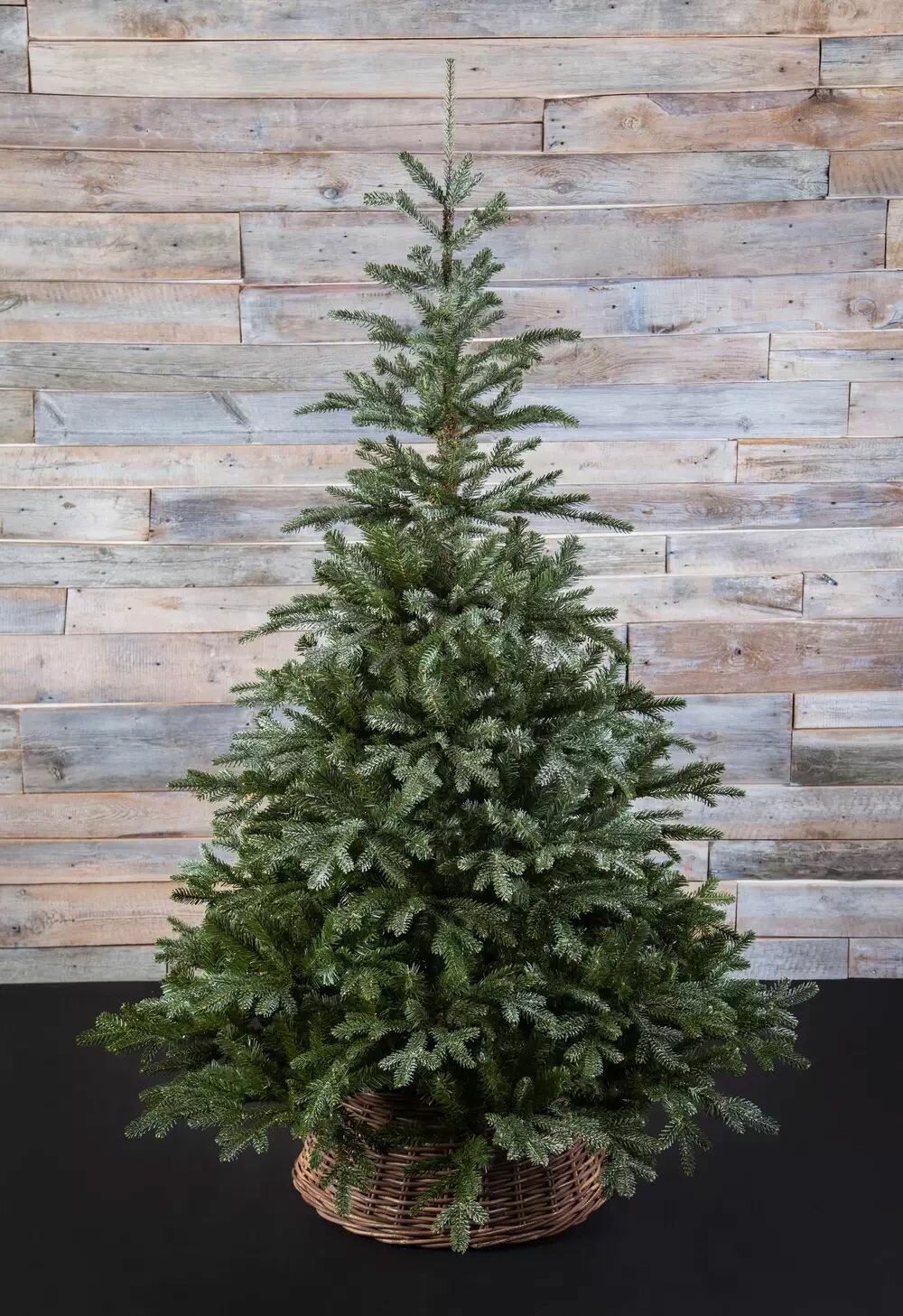 Ель BLACK BOX Хрустальная 230 см заснеженная