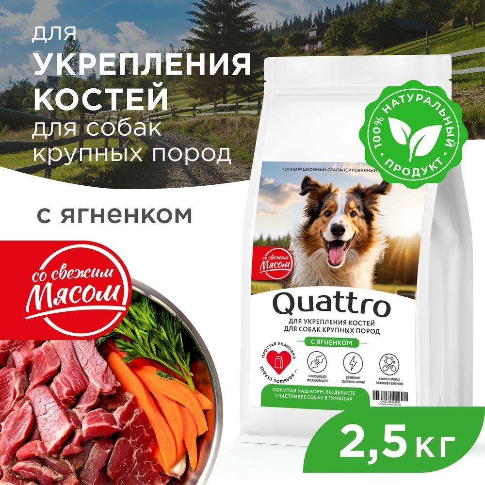 Quattro корм для взрослых собак крупных пород, укрепление костей, с ягненком 2,5 кг