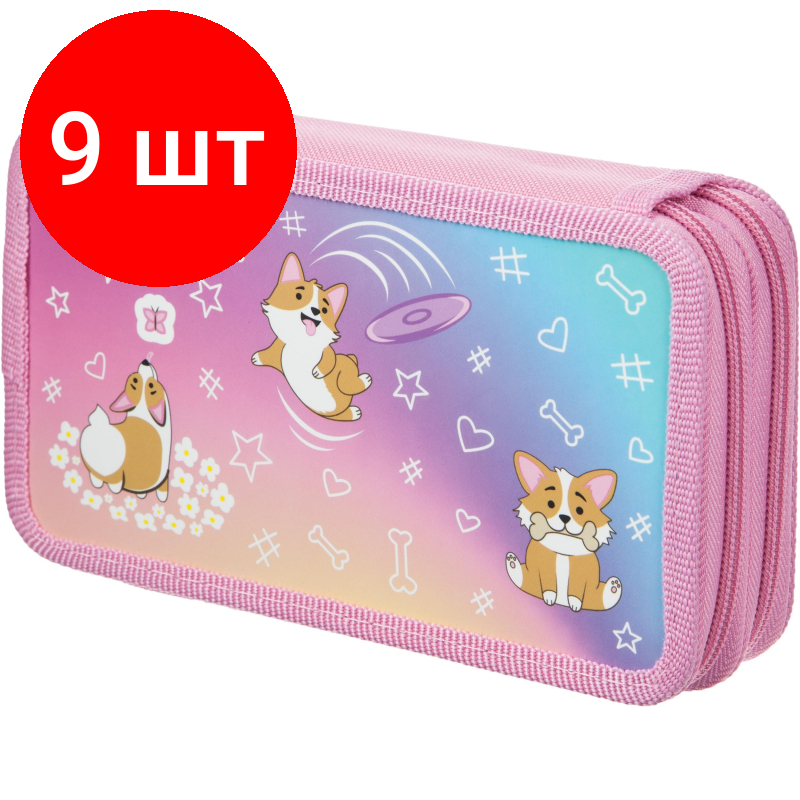 Комплект 9 штук, Пенал Комус Класс Corgi time 2 отд, ламинат, софт тач, 190x110 мм, ПКК 11-6