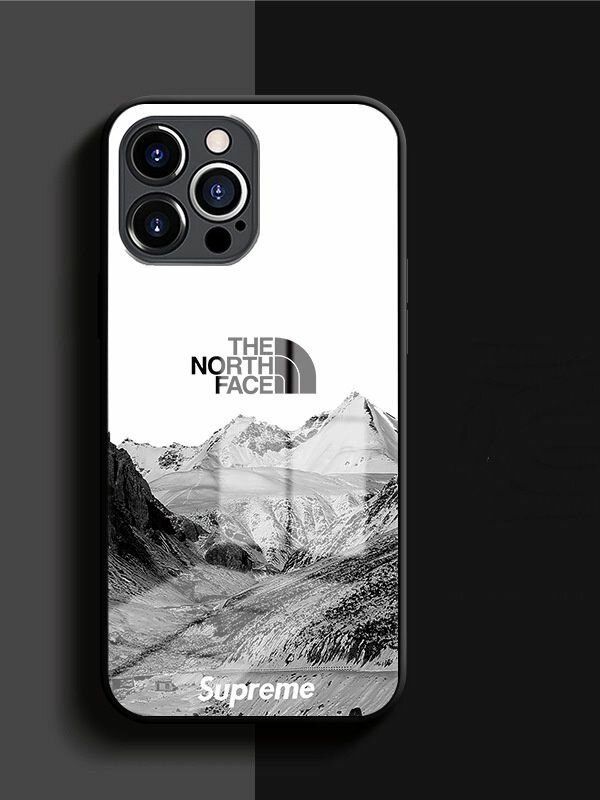 Чехол на iPhone 16 Pro Айфон, Apple The North Face