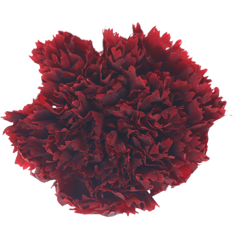 Вечный цветок гвоздика, материал для поделок, 8 цветов, винно-красный