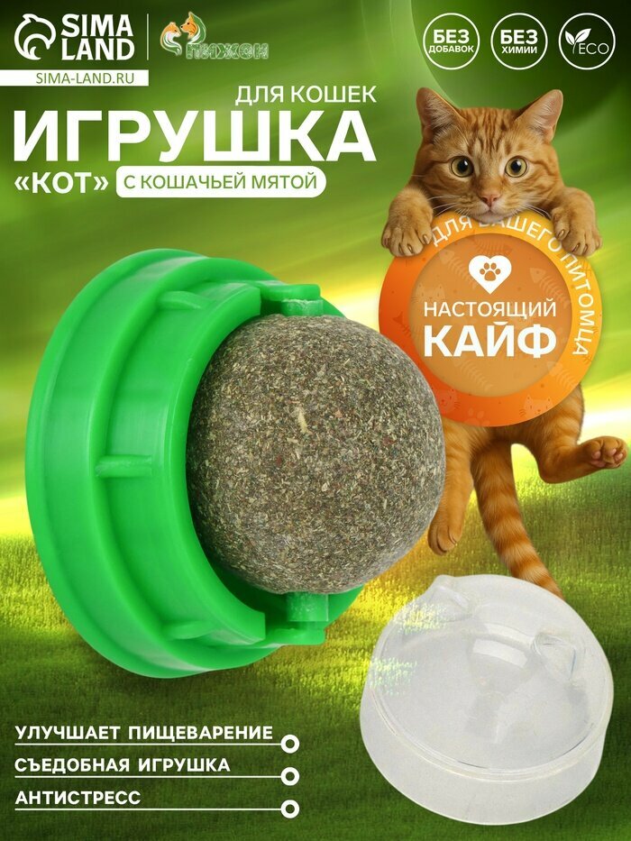 Игрушка для кошек из кошачьей мяты "Кот" на основании, 4,5х4,8х4,8 см, зеленая 10791222