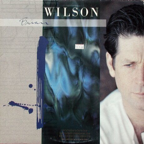 BRIAN WILSON Brian Wilson (Виниловая пластинка)