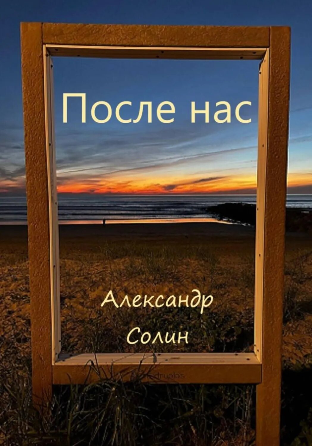 После нас [Цифровая книга]