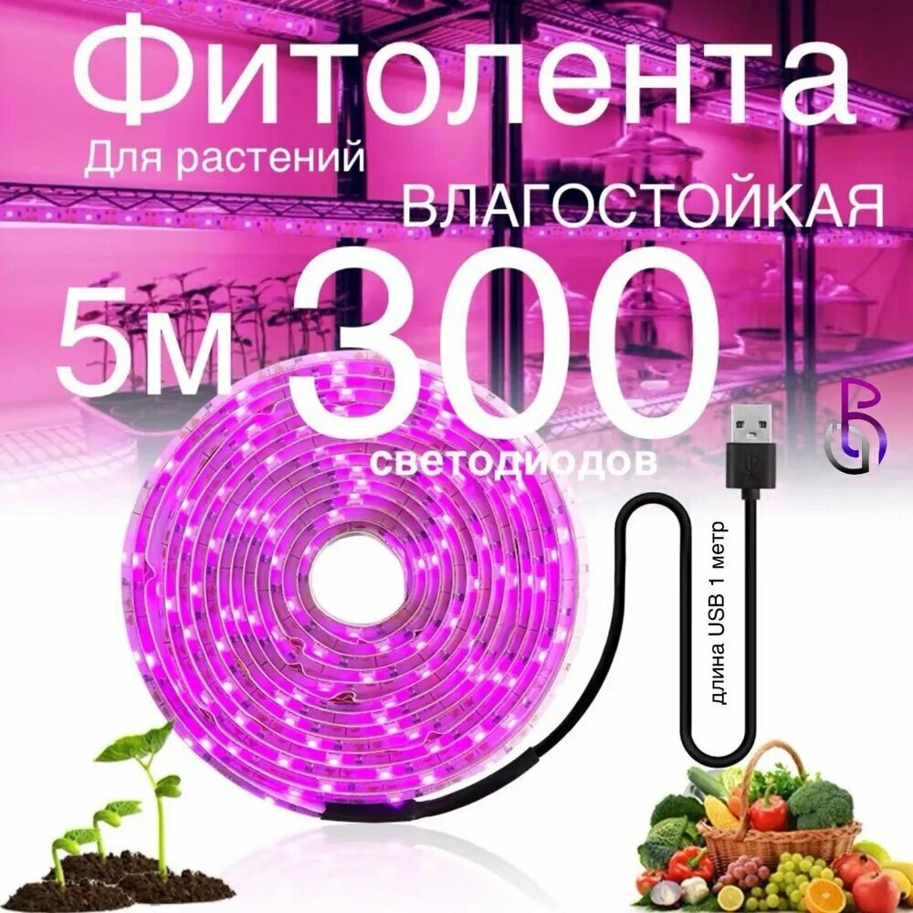 Пурпурный светодиодный декоративный пояс, атмосферный фонарь