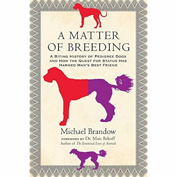 A Matter of Breeding: A Biting History of Pedigree Dogs and How the Quest for Status Has Harmed Man's Best Friend，Reprinted paperback book