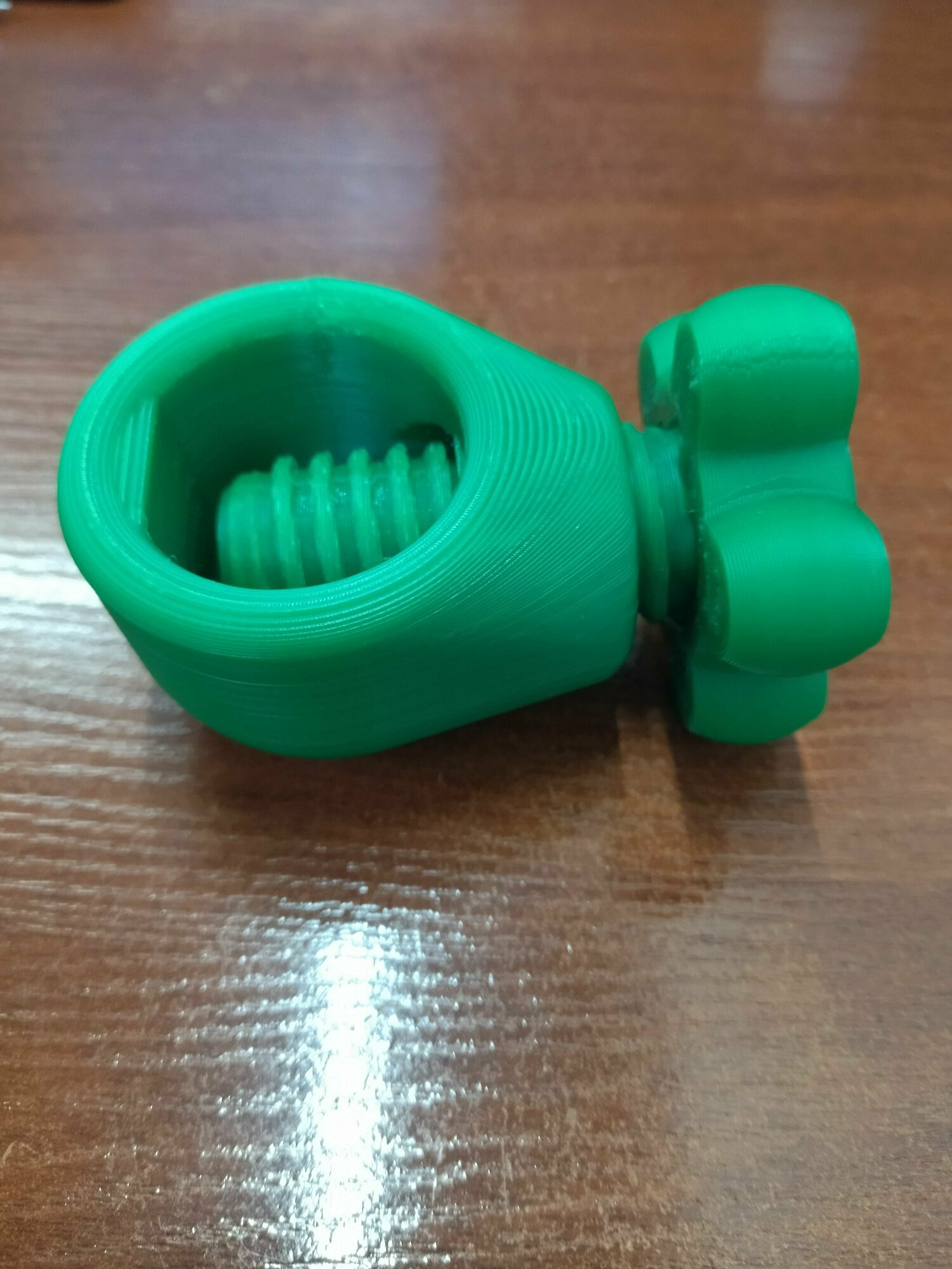 Орехокол зелёный