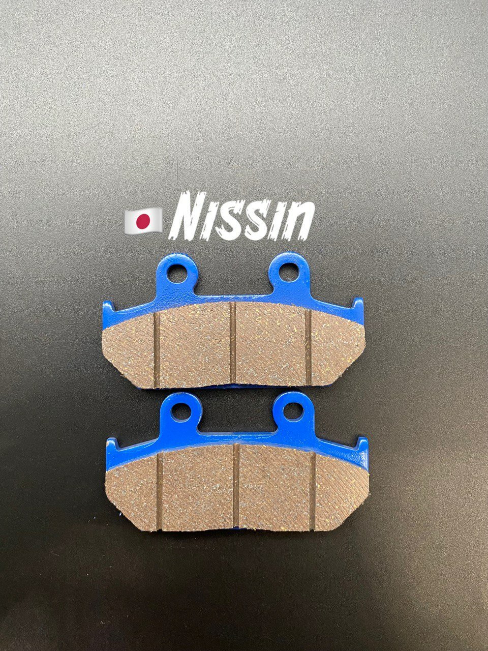 Тормозные колодки NISSIN 2P-220NS