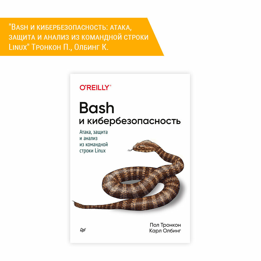 Книга: Тронкон П, Олбинг К. "Bash и кибербезопасность: атака, защита и анализ из командной строки Linux"