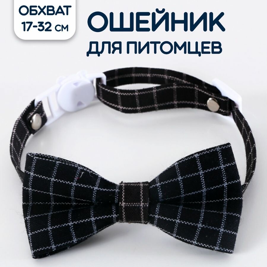 Ошейник-бабочка для питомца, черный, 17-32 см