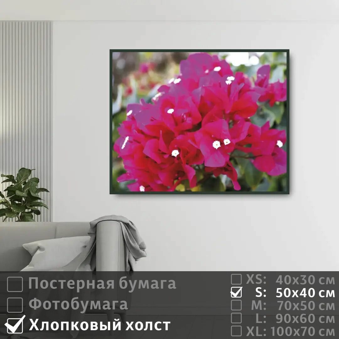 Постер на холсте Ветка Нежной Бугенвиллии 50х40 см ПолиЦентр