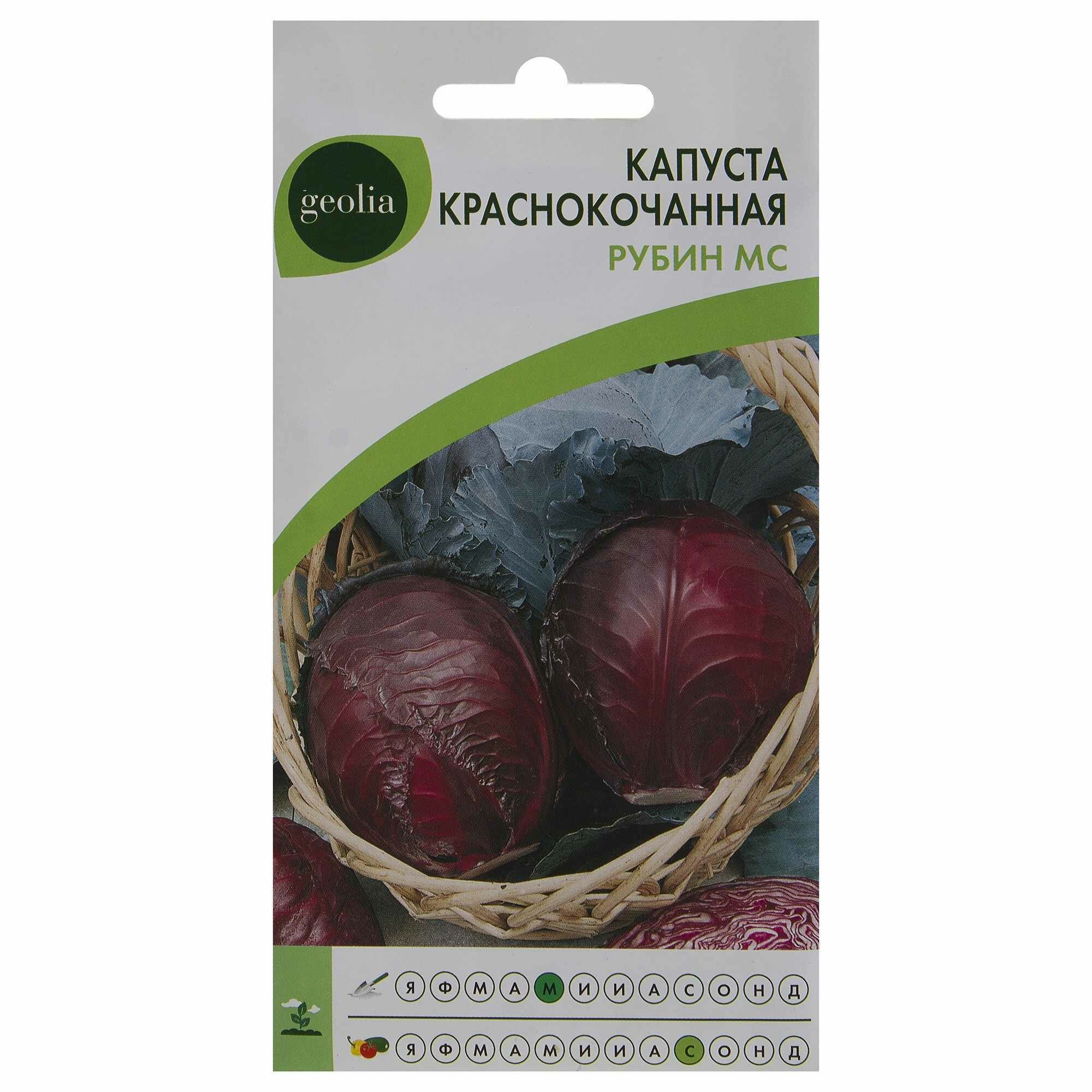 Семена Капуста краснокочанная Geolia «Рубин МС»