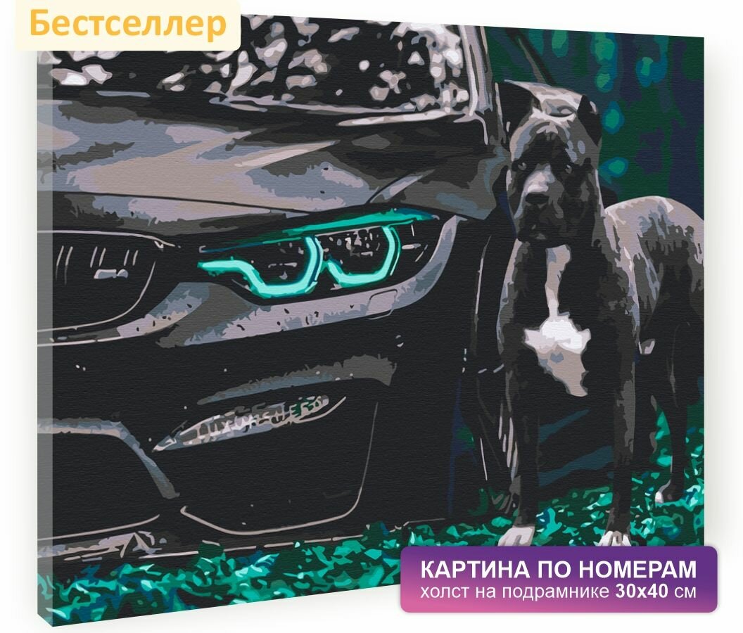 Картина по номерам на холсте с подрамником 30х40 см. Природа, животные, рыбы, птицы. Собаки, щенки. "BMW и питбуль", арт. 3550/