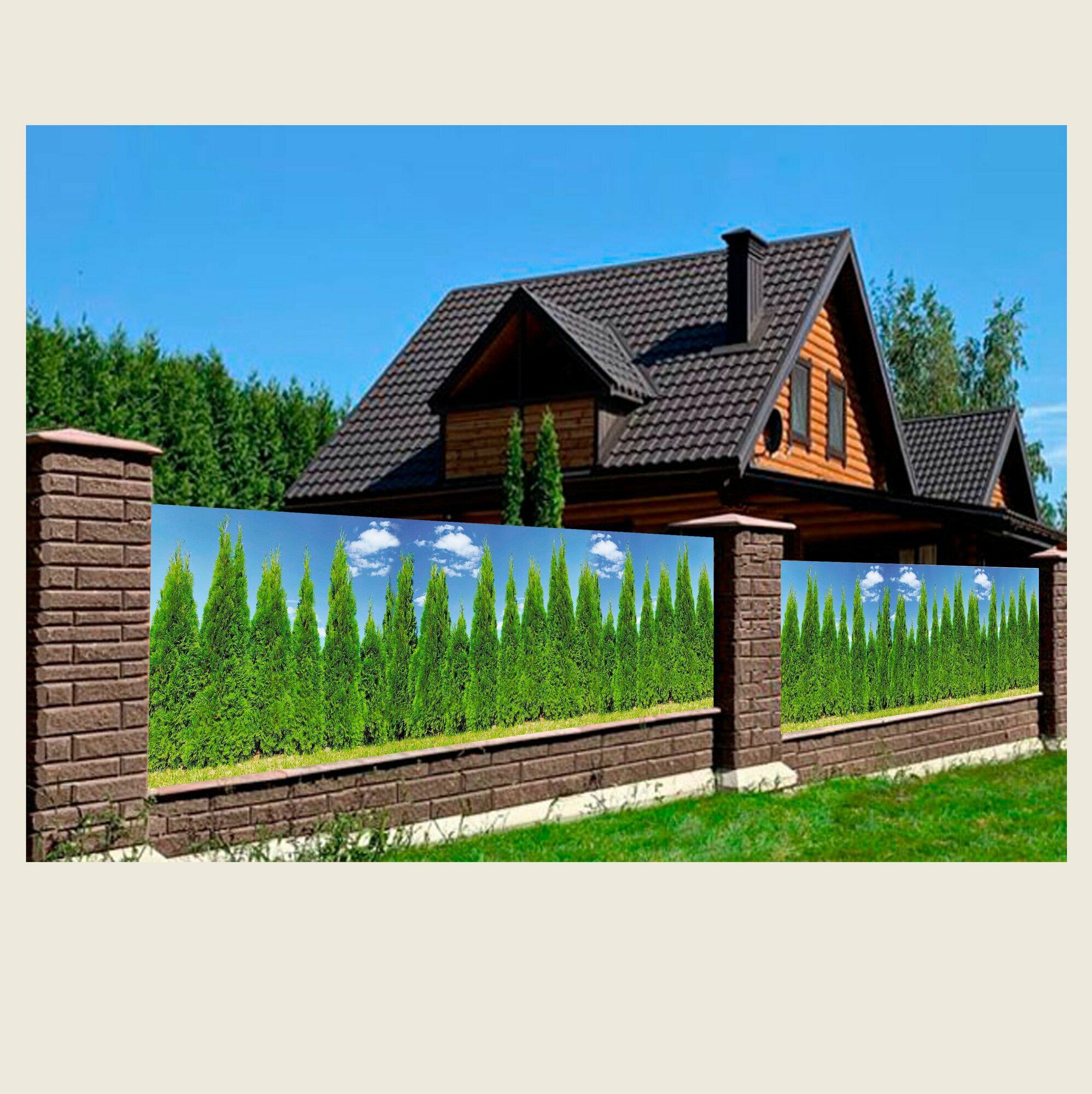 Фотосетка для забора и фасада 3 х 1 м без люверсов / Туи 3