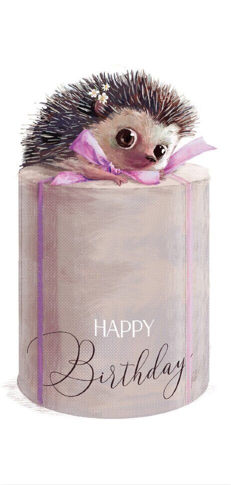 Конверты для денег Happy Birthday (ежик и подарок), 5 шт.