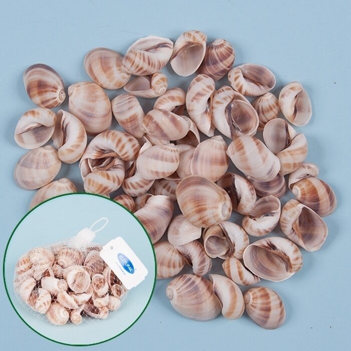 Ракушки декоративные "Сейшелы" 100 г в упаковке для декора