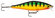 Воблер RAPALA Shadow Rap Shad 09 /P