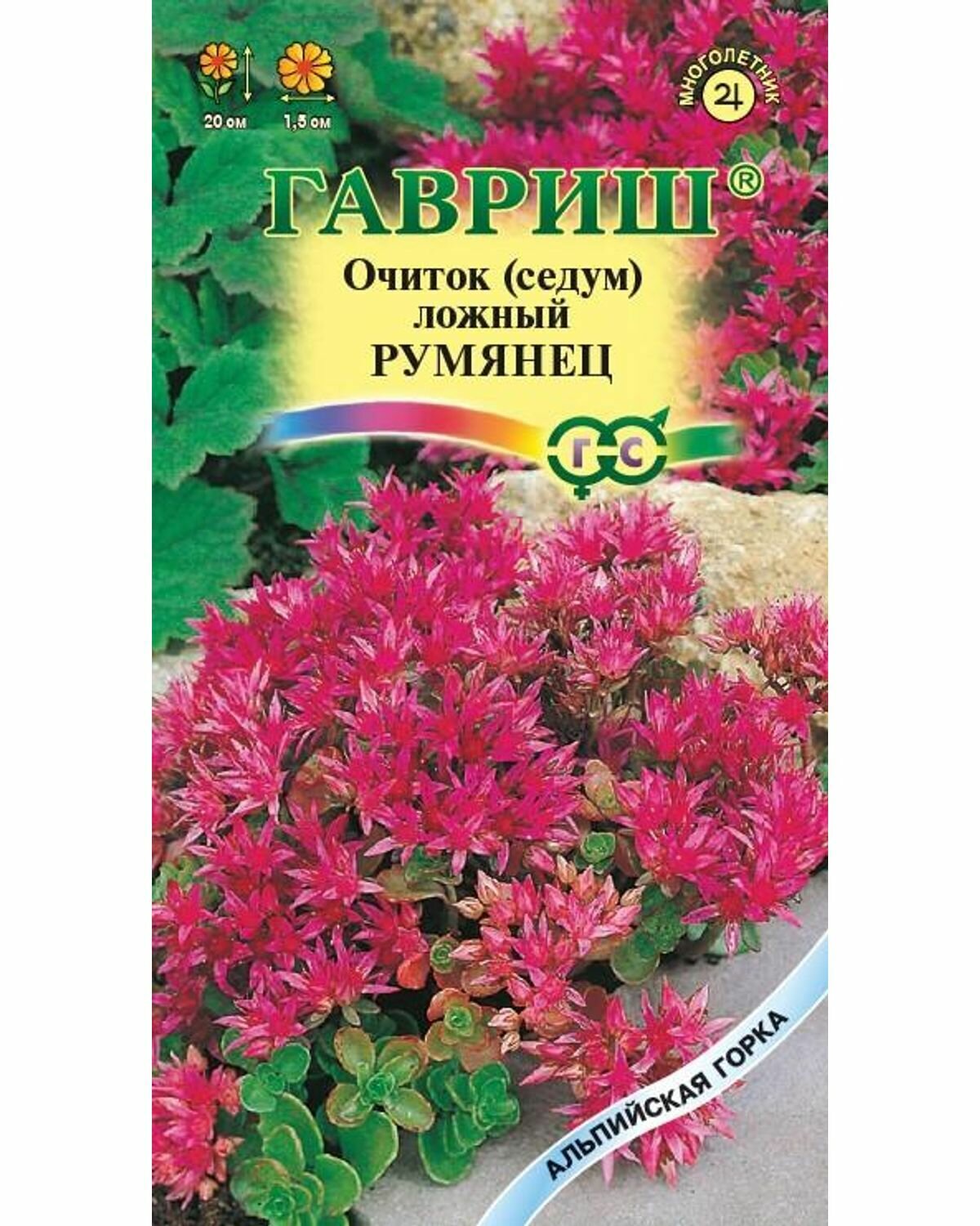 Цветы Очиток Румянец