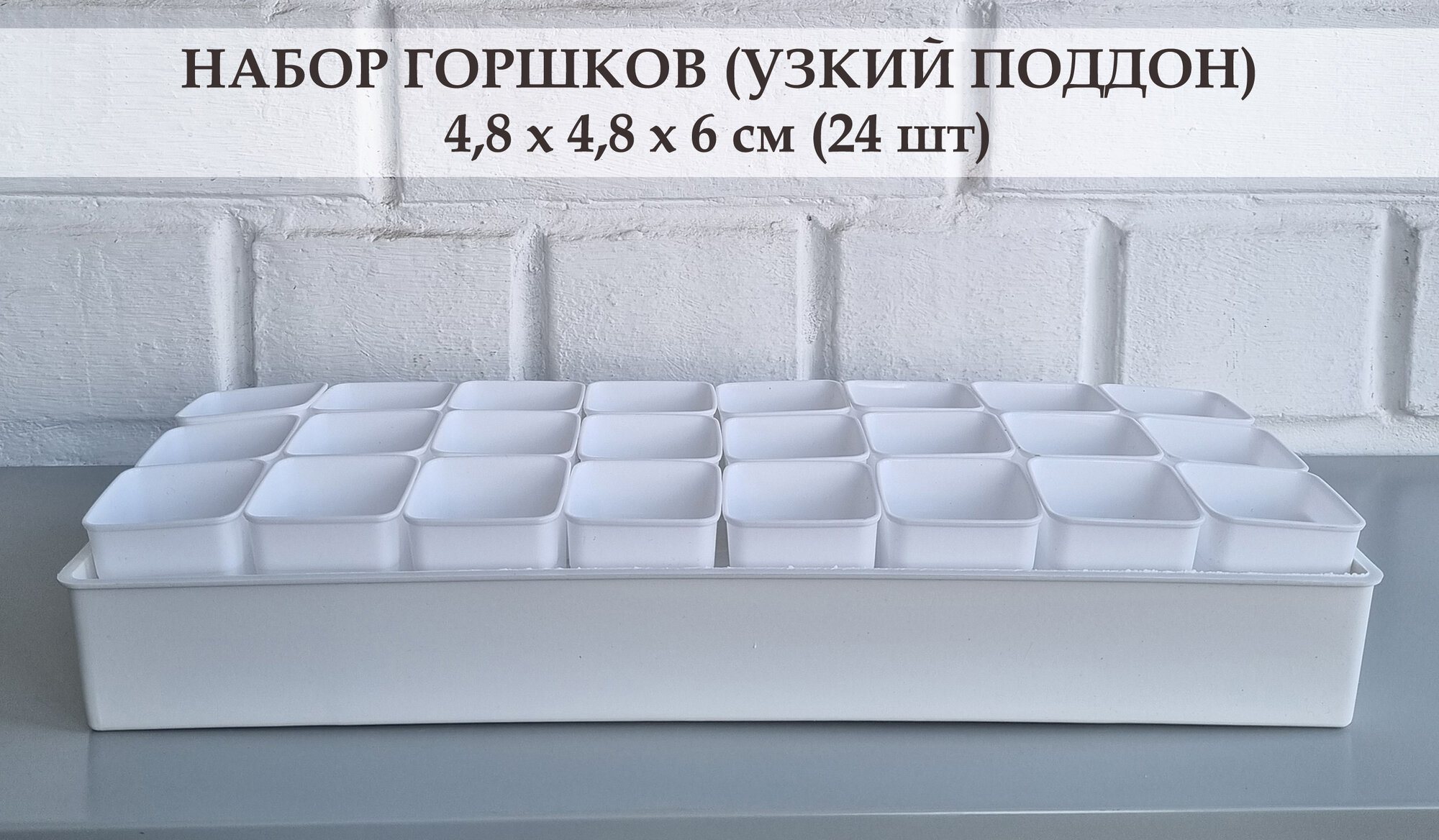 White Garden Белые высокие горшки для суккулентов. Набор горшков с узким поддоном, 4,8х6 см, 24 шт