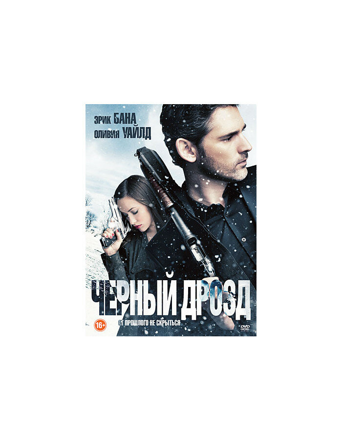 Черный дрозд