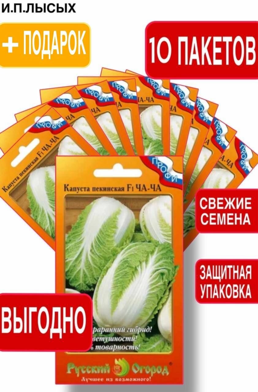 Капуста пекинская Ча Ча F1 10 шт