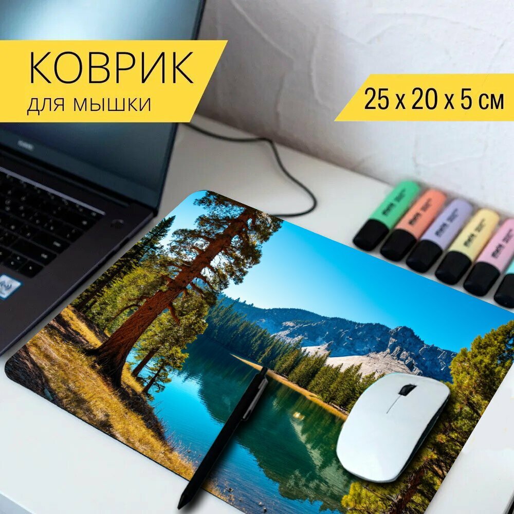 Коврик для мыши с принтом "Озеро в величественном национальном парке, с большими деревьями и дикой природой" 25x20см.