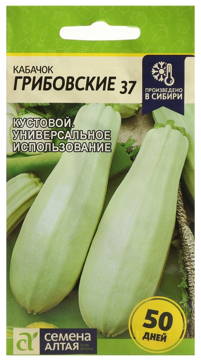 Семена Кабачок "Грибовские 37", кустовой, универсальное использование, урожайный, от Семена Алтая, ц/п, 2 г