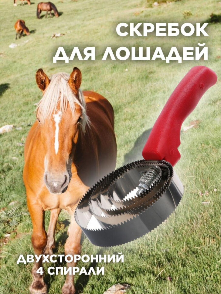 Скребок для лошадей Exmork, 4 спирали, двусторонний, нержавеющая сталь, для чистки шкур