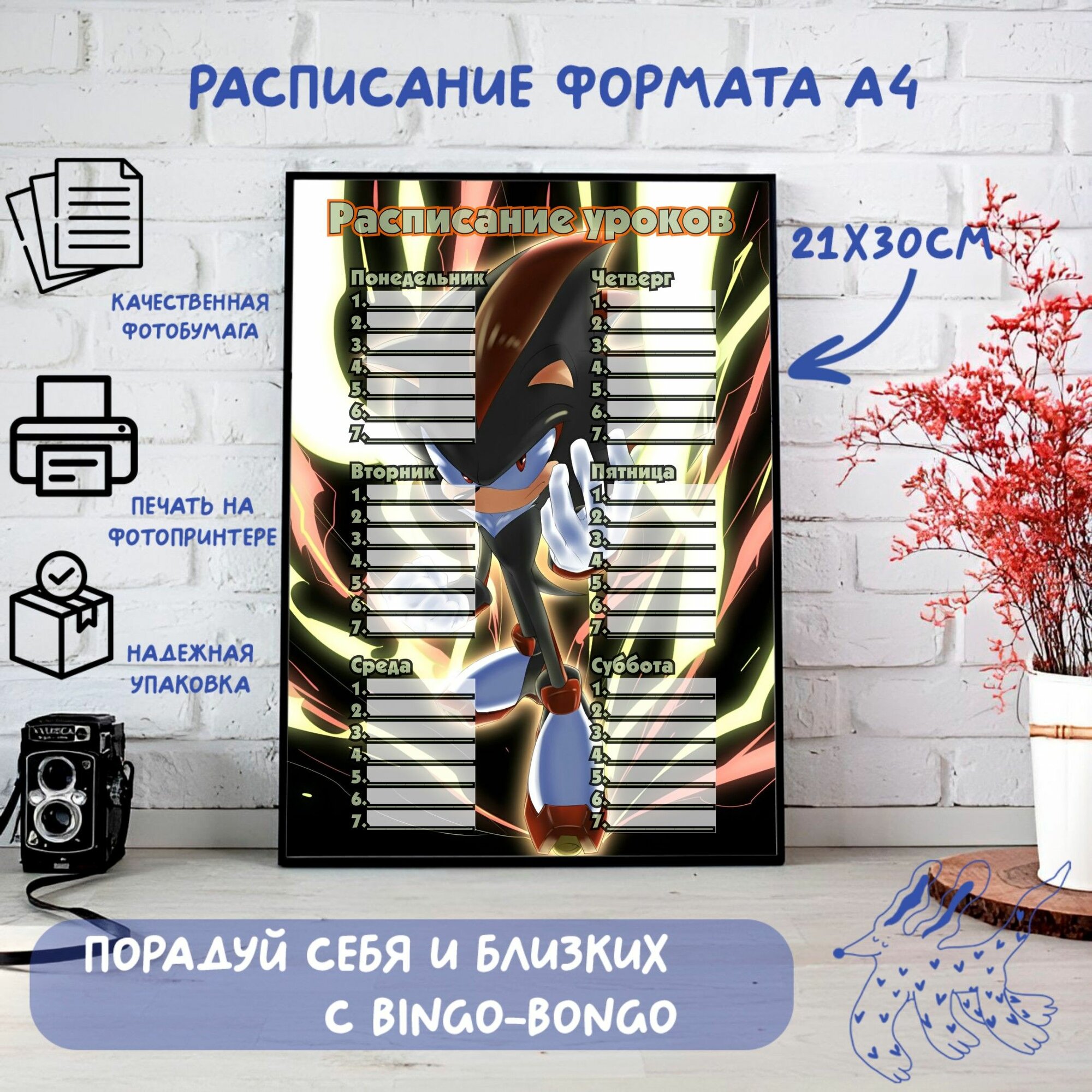 Расписание уроков формата А4, с принтом Соник
