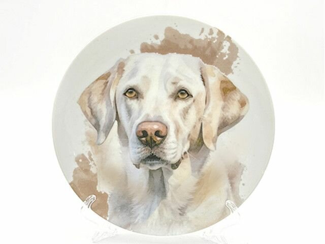 Тарелка суповая Мой питомец Арчи фарфор 20,5см Добрушский фарфоровый завод