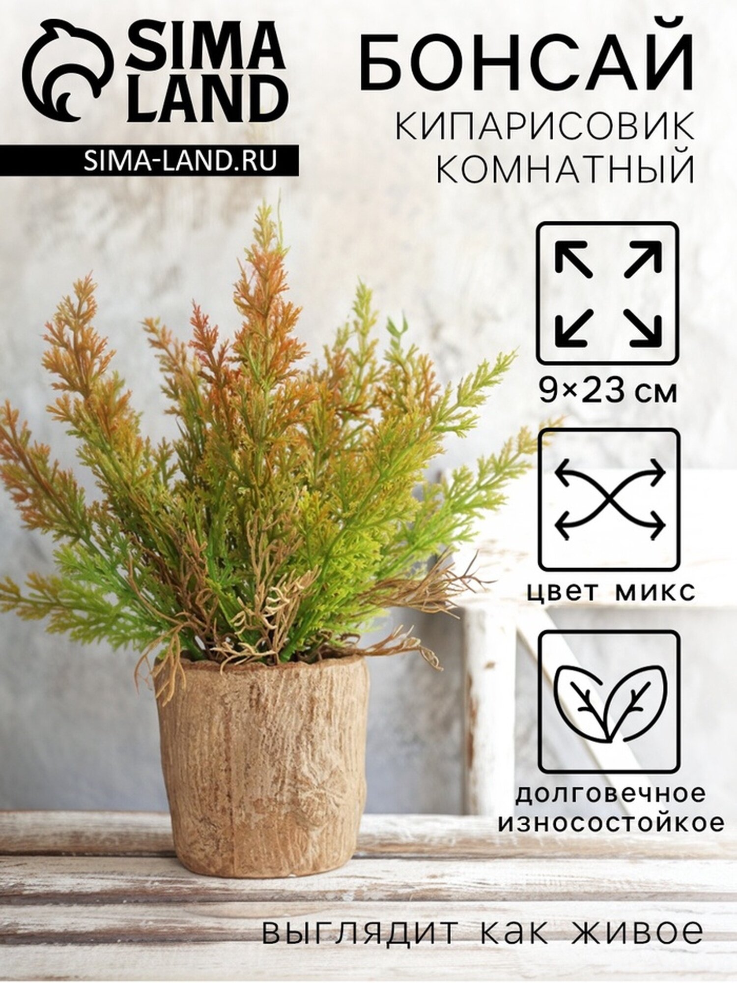 Бонсай Сима-ленд «Кипарисовик комнатный», пластиковый, горшок, 9 x 23 см